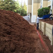 - JPA Landscape & Construction, Inc